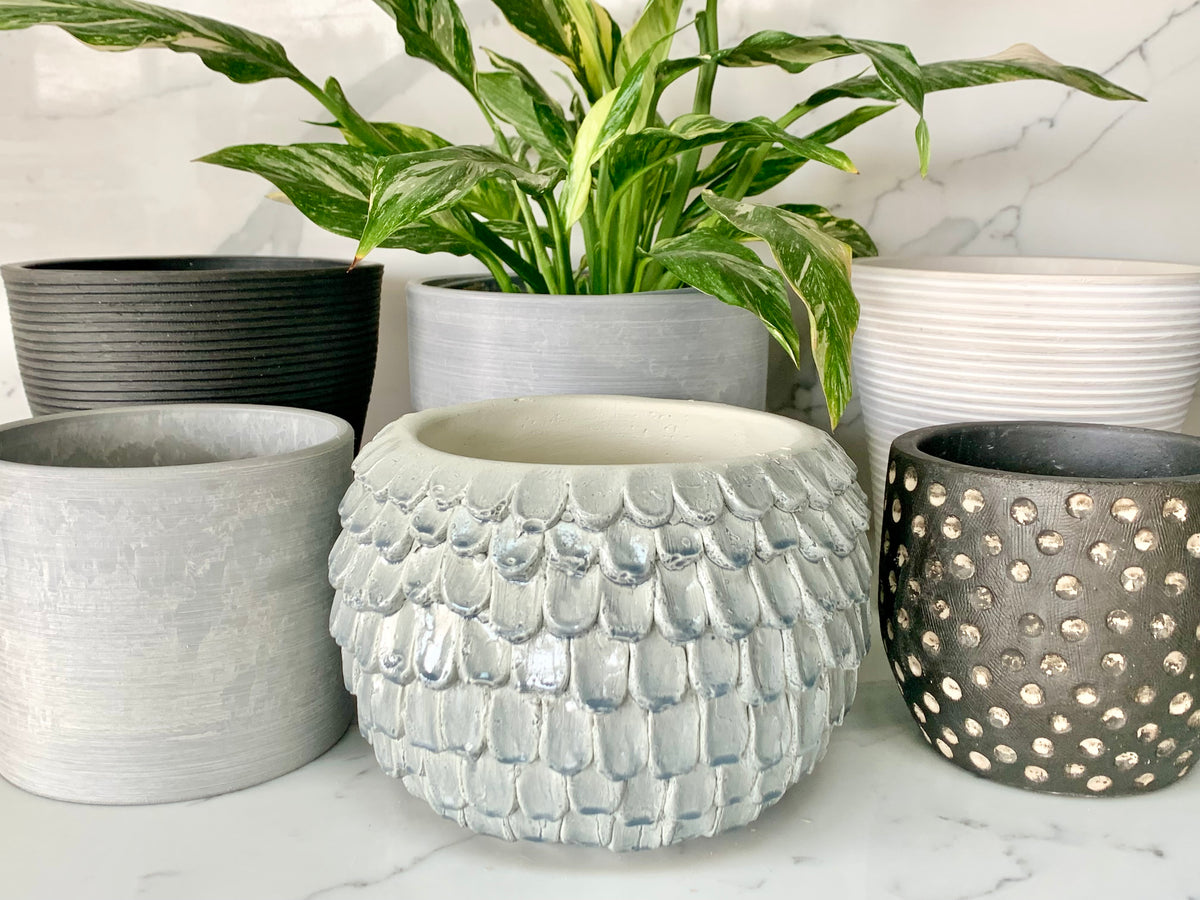 Pots & Planters – The Indoor Oasis NZ