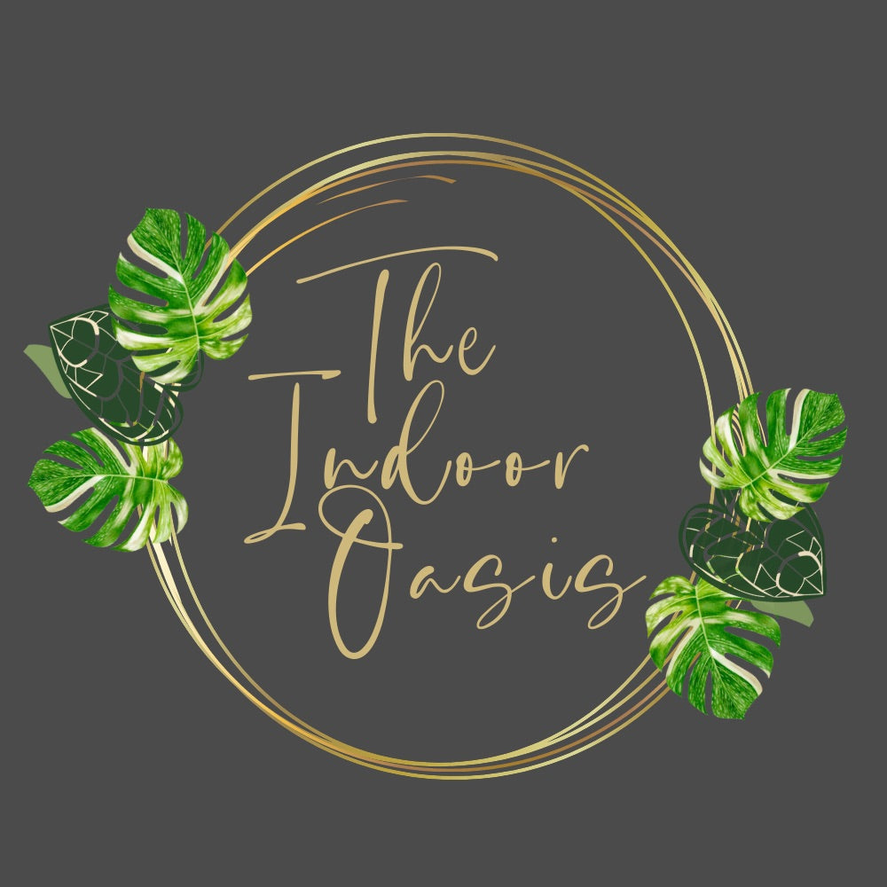 The Indoor Oasis NZ - Shop Indoor Plant Cuttings, Plants & Accessories