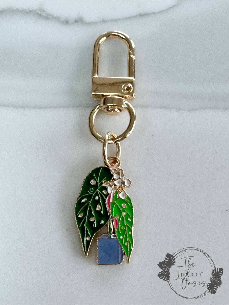 Planty Keyring Single – The Indoor Oasis NZ