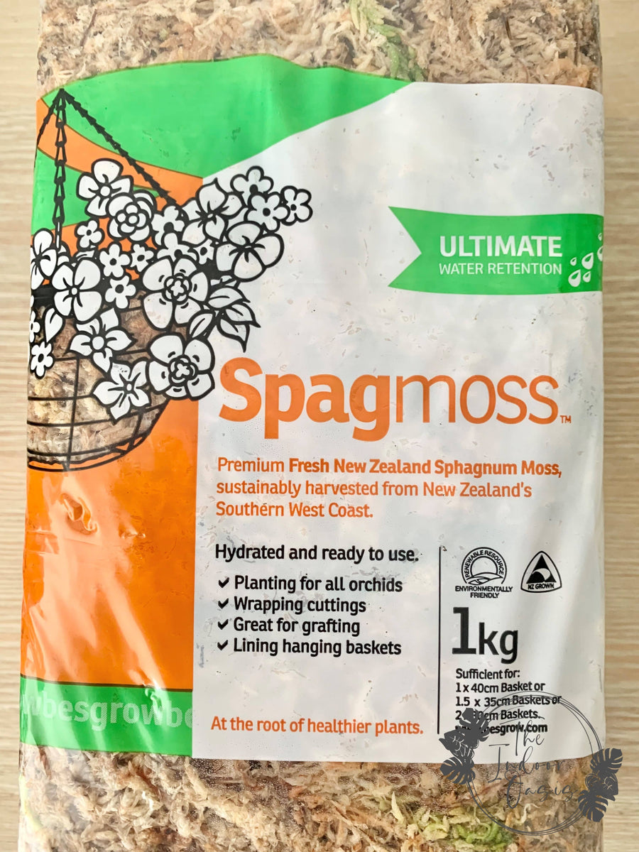 Besgrow Spagmoss Fresh Sphagnum Moss 1kg – The Indoor Oasis NZ