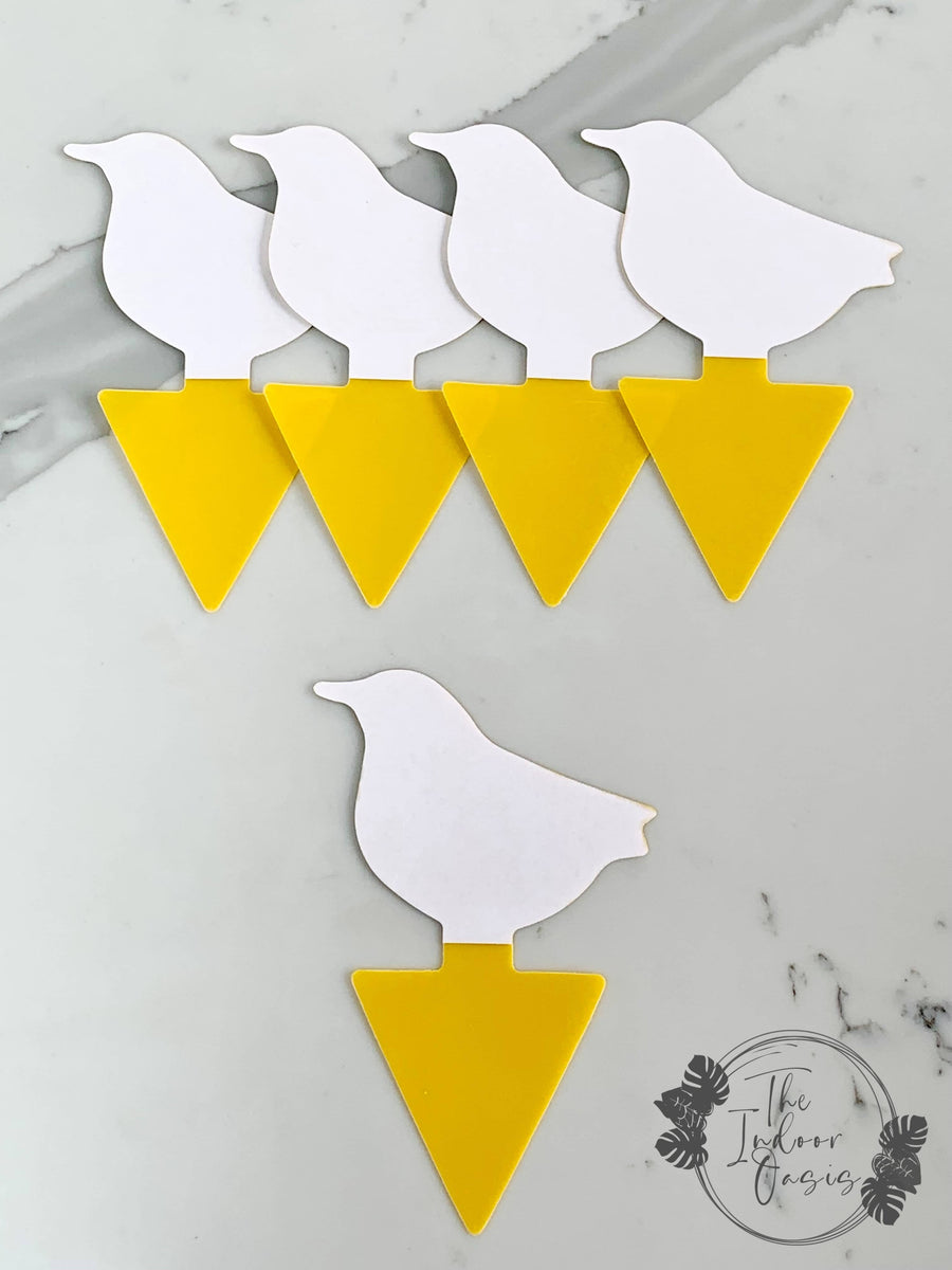 Yellow Sticky Traps for Fungus Gnats – The Indoor Oasis NZ