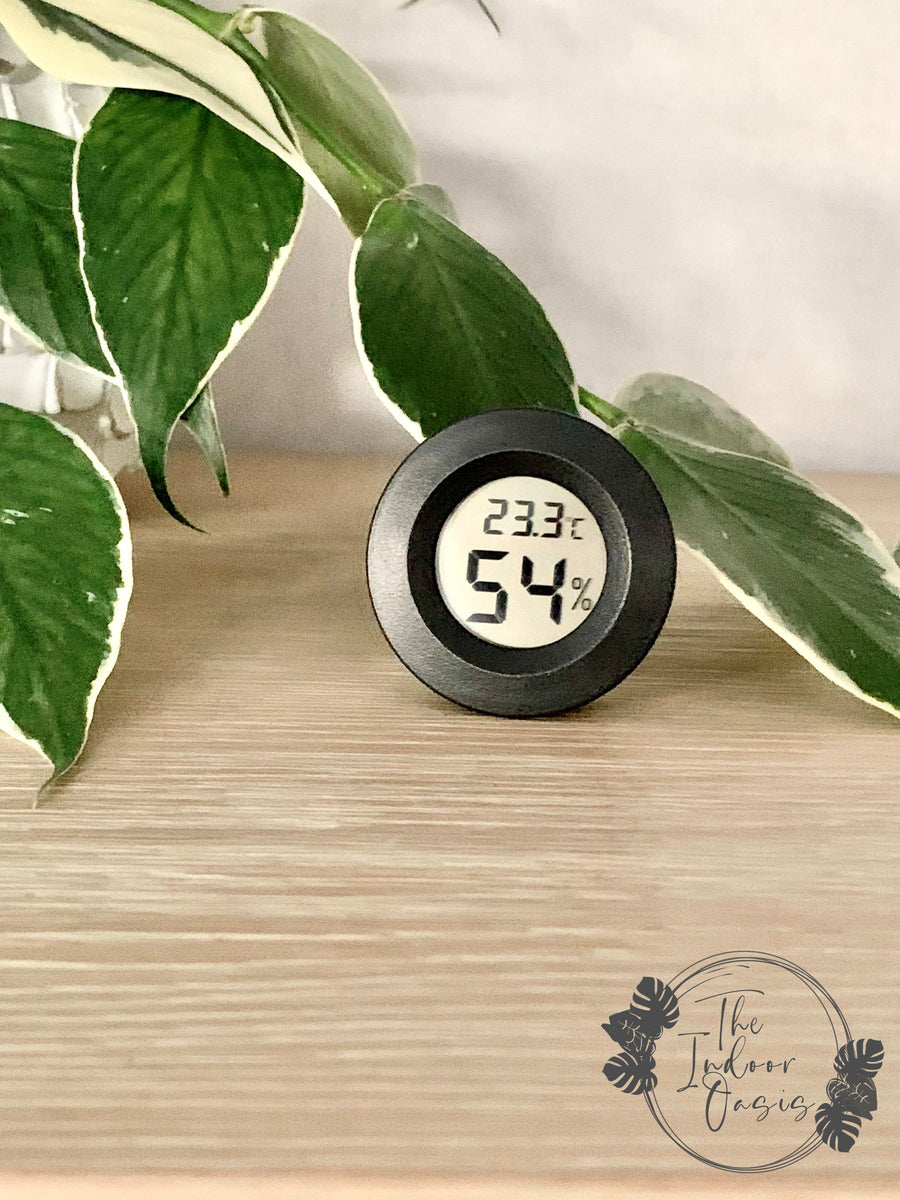 Mini Digital Hygrometer 2-in-1 Temperature and Humidity Meter Black ...