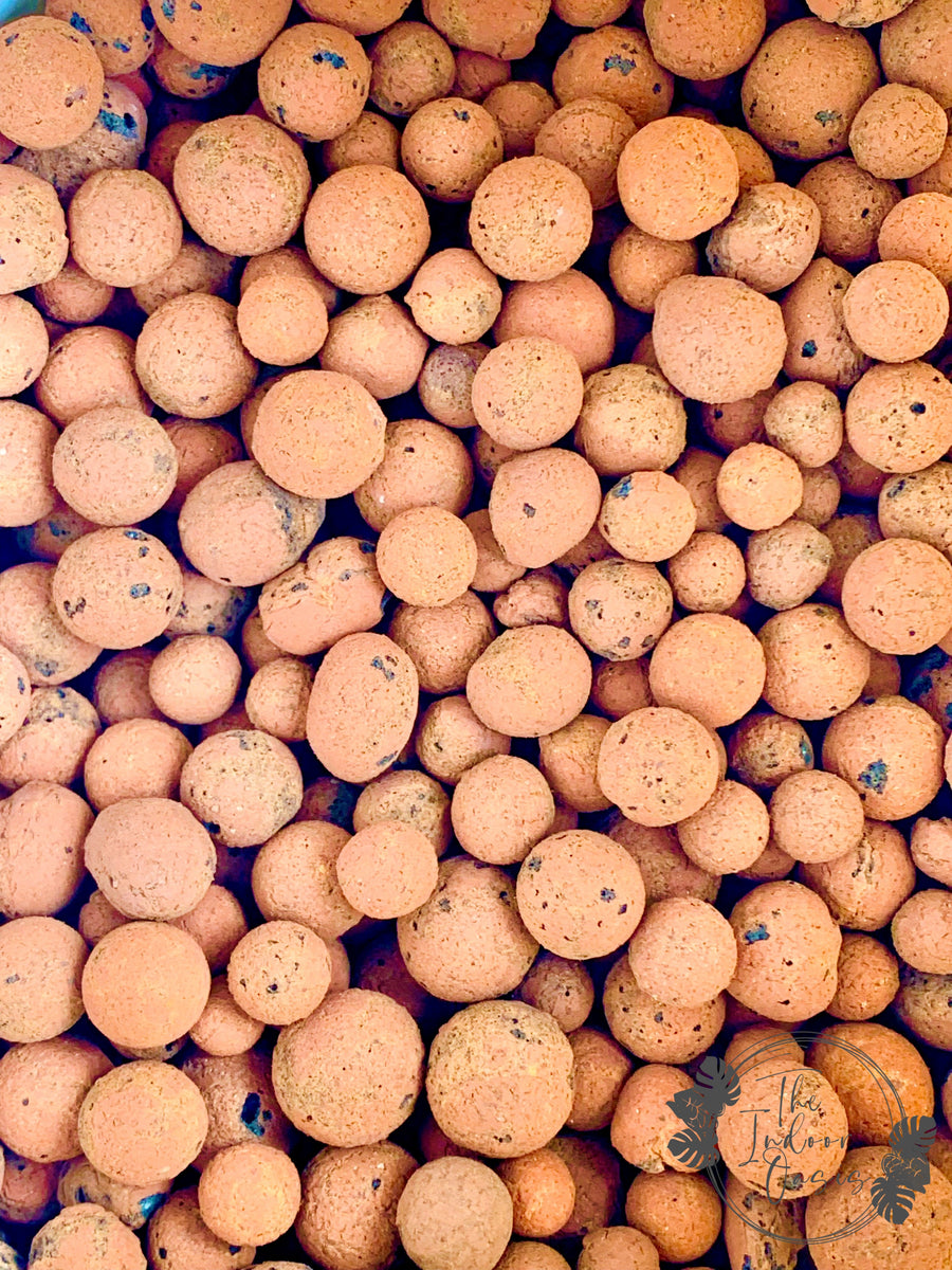 LECA Hydro Clay Balls – The Indoor Oasis NZ