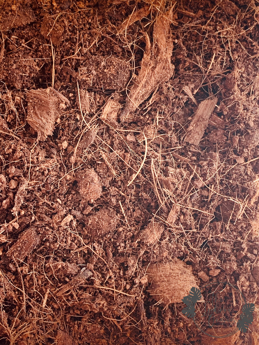 Premium Coco Chip & Coco Coir 50/50 Blend – The Indoor Oasis NZ