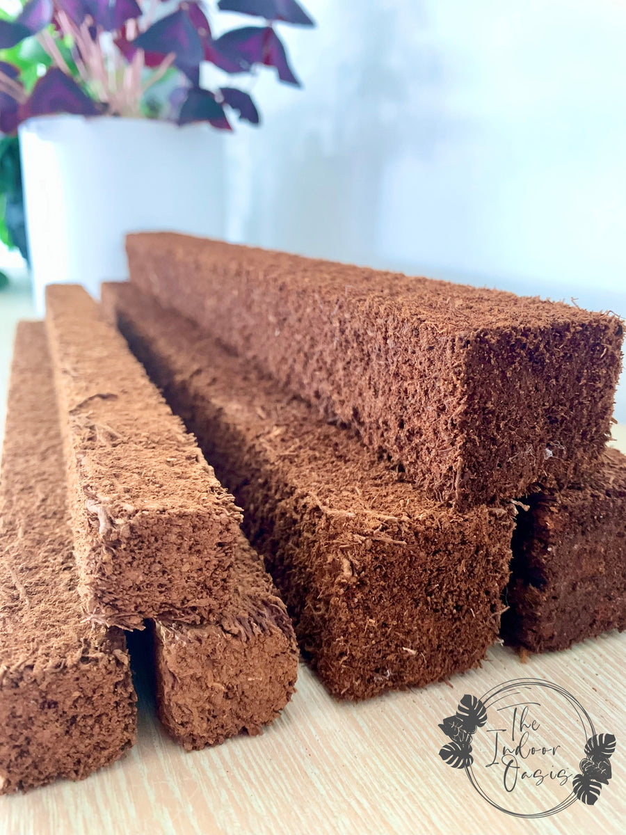 Fernwood Tree Fern Fibre Totem Pole – The Indoor Oasis NZ